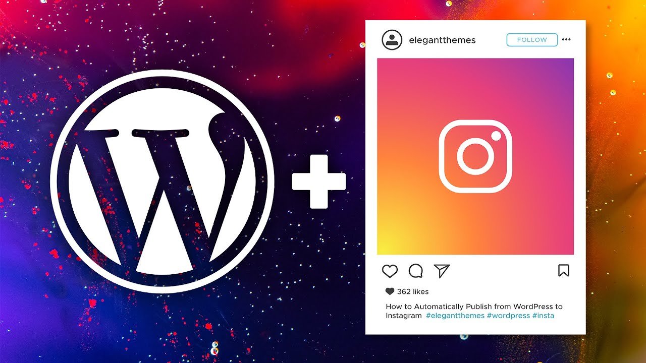 How to Automatically Publish from WordPress to Instagram: Quick Guide - Procritique